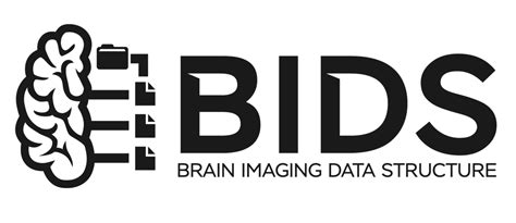 Brain Imaging Data Structure Bids Kamran Afzalis Portfolio