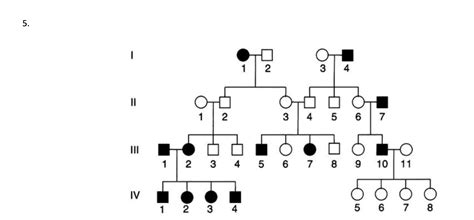 Solved Using The Information In Each Of The Pedigrees Shown