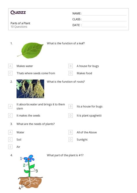 50 Roots Worksheets For 1st Grade On Quizizz Free And Printable