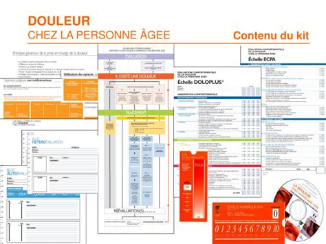 PPT Amélioration des pratiques de prise en charge de la douleur chez le sujet âgé PowerPoint