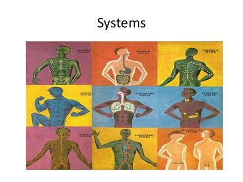 What Is Our Body Made Of
