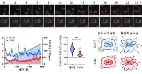전이성 암 표지자에 형광물질 붙여 암 치료