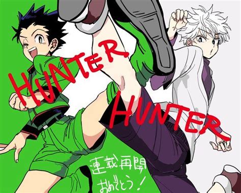 Gon Freecs And Killua Zoldyck Hunter X Hunter Hunter X Hunter Killua