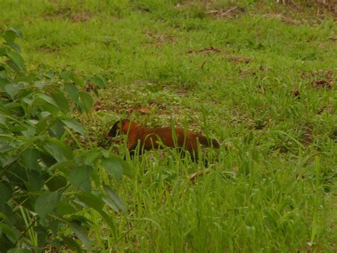 キョロロ通信公式ブログ） Blog Archive 花ごよみ特別ゲスト