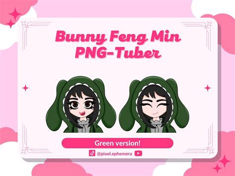 Bunny Feng Min PNG Tuber Dbd Streaming Vtuber Kawaii Etsy