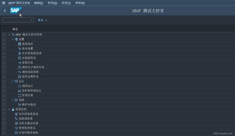 Abap Atc 一个标准的sap代码质量管理和测试管理的框架sap Atc Csdn博客