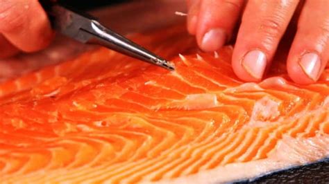 How To Remove Pin Bones From A Salmon Fillet Howcast