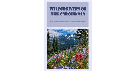 Wildflowers Of The Carolinas Many Information You Will Love About
