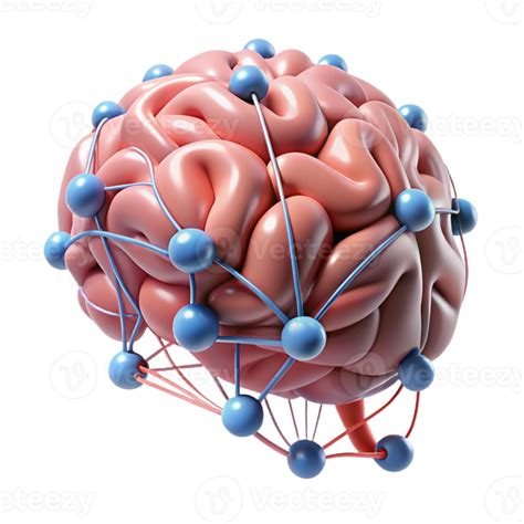 Magnificent Quintessential A Stylized Abstract Human Brain With Interconnected Neural Pathways