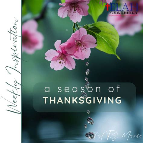 Elah Assembly Howick