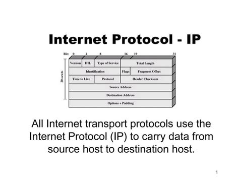 Ip Datagram Structure Pdf