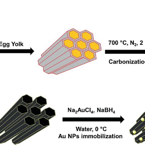 Schematic Synthesis Of Auomc Catalyst From Egg Yolk And Through Hard