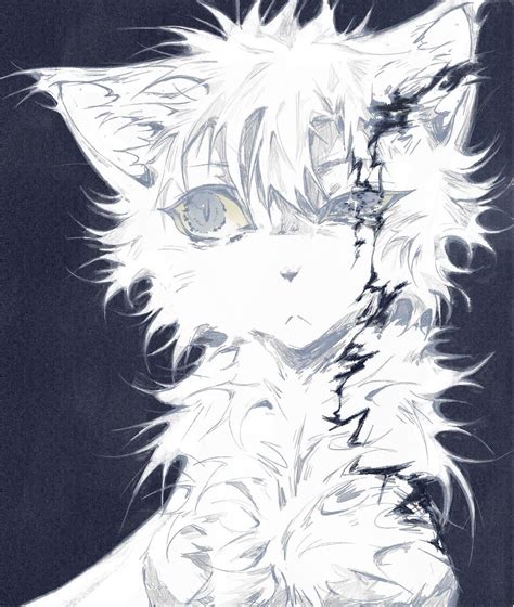 Snowtuft Warrior Cats Drawn By Wxlfpatch Danbooru