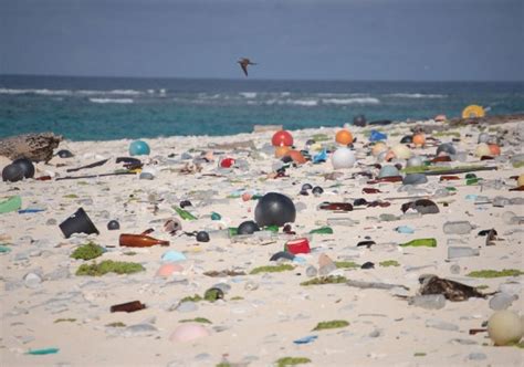 充滿垃圾的世界自然遺產海漂汙染的殘酷悲歌 遠見雜誌