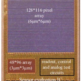 Block Diagram Of The Nm Sensor Evaluation IC Download Scientific Diagram