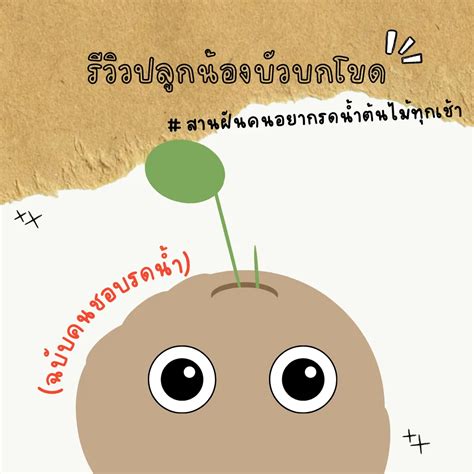 💧🌱รีวิวปลูกน้องบัวบกโขด ฉบับคนชอบรดน้ำ 🌱💧 แกลเลอรีที่โพสต์โดย Iv