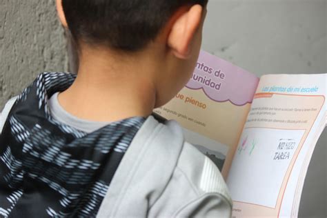 Sigue estos pasos para registrar a tus pequeños en Mi Beca para Empezar