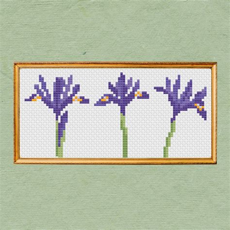 Iris Reticulata Cross Stitch Pattern Modern Cross Stitch Pattern Instant Download PDF Flower