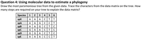 Solved Question 4 Using Molecular Data To Estimate A Phylogeny Draw