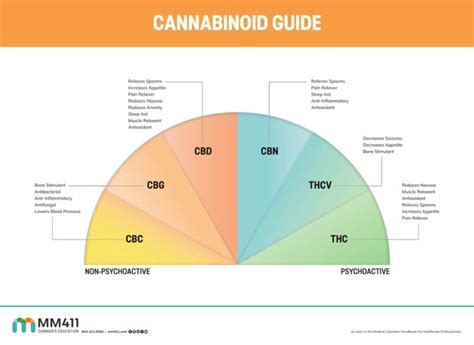 Cannabinoid Chart Cannabinoid Poster 18″ X 24″ Inch