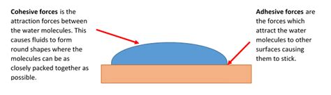Class 8 Friction Short Notes Science Chapter 12 Reliable Education Group