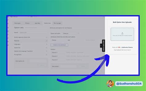 Introducing The Bulk Option Set Uploader For Bubble Save Time On Data