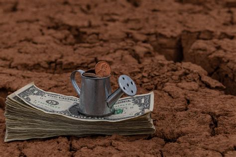 사막의 금이 간 진흙에 동전과 미국 달러 한 팩으로 미니어처 급수 할 수 있습니다 0명에 대한 스톡 사진 및 기타 이미지 0명 1 달러 지폐 미국 지폐 통화 1 센트
