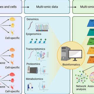 Pdf Bone Trans Omics Integrating Omics To Unveil Mechanistic