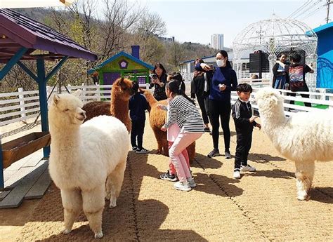강원도관광재단 7월 강원관광 동향분석 아주경제