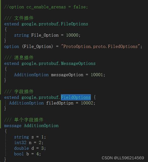 Protobuf 插件（option）使用proto Option Csdn博客