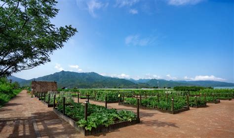 奇迹农庄 原乡牧歌 农研体验 乡村旅游 五好乡村通