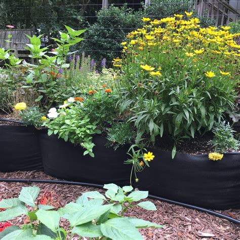 6ft Fabric Raised Bed Smart Pots Fruition Seeds