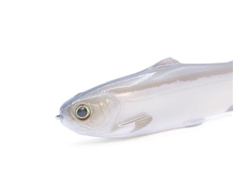 Tyrant 8 Priestess Working Class Zero