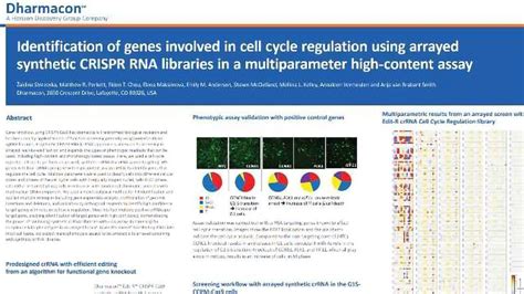 Identification Of Genes Involved In Cell Cycle Regulation Using Arrayed