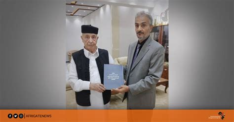 الهلالي لـ بوابة إفريقيا سنواصل الدفع لاستئناف الانتخابات في ليبيا
