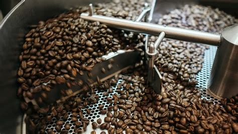 Can U Drink Coffee While Water Fasting Caffe