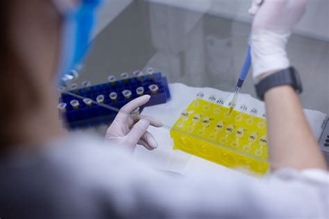 Dna Extraction From Elephant Dung Samples Collected Over The Past Seven