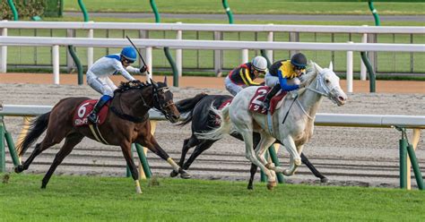 【2023 府中牝馬s（g2）】日刊馬番コンピ指数分析予想篇｜haya