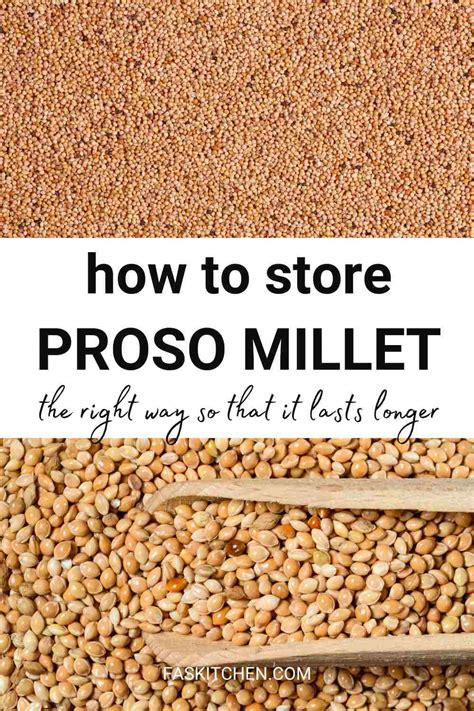 Proso Millet 101 Nutrition Benefits How To Use Buy Store Proso