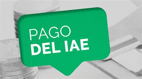 Pago Del Iae Ayuntamiento De Barcelona
