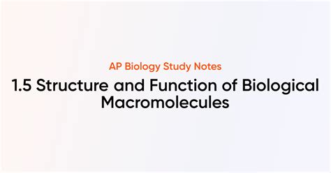 1 5 Structure And Function Of Biological Macromolecules Ap Biology Notes Tutorchase