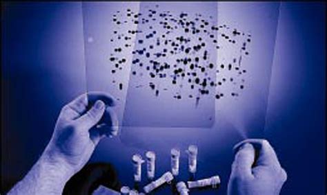 Biotecnologia Herramientas De La Biotecnologia