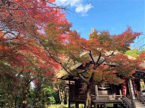 現代集団 野宮武美の社長blog