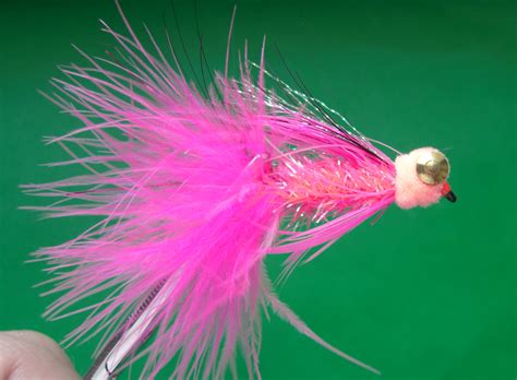 Pink Firecracker