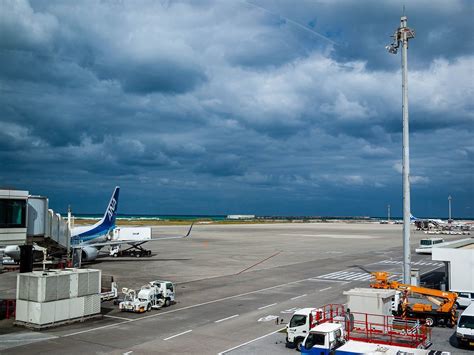 航空機ペット同席問題 光景彡z工房 SeasonⅣ