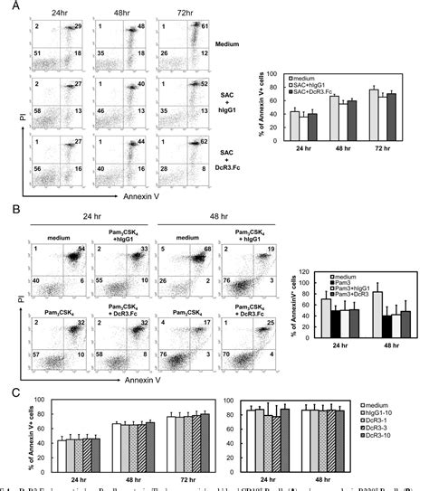 Figure 4 From Targeting Nf Tlr 2 Mediated B Cell Activation By Decoy
