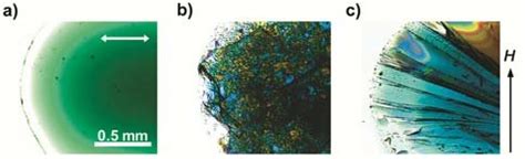 Polarized Optical Microscopy Images Of 1 Under Plain Polarized Light On