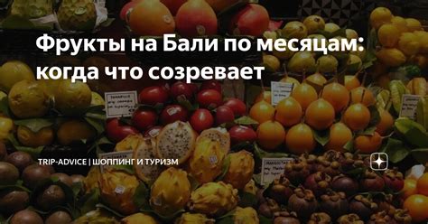 Фрукты на Бали по месяцам когда что созревает Саша Коновалова Дзен