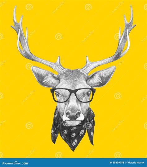 Portrait Of Deer With Glasses And Scarf Stock Illustration