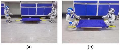 Biomimetics Free Full Text Coordinated Transport By Dual Humanoid